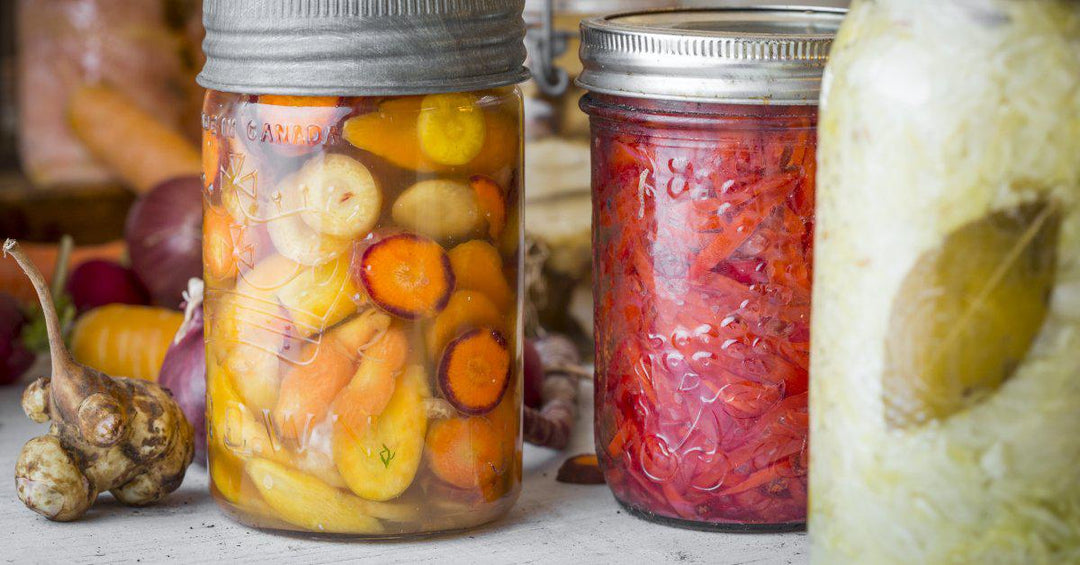 Fermentation Products On Sale | Revolution Fermentation Canada