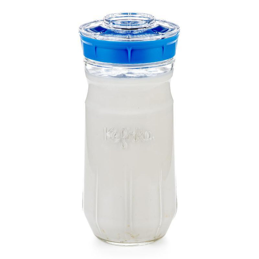 Kefirko Kefir Making Kit | Revolution Fermentation Canada