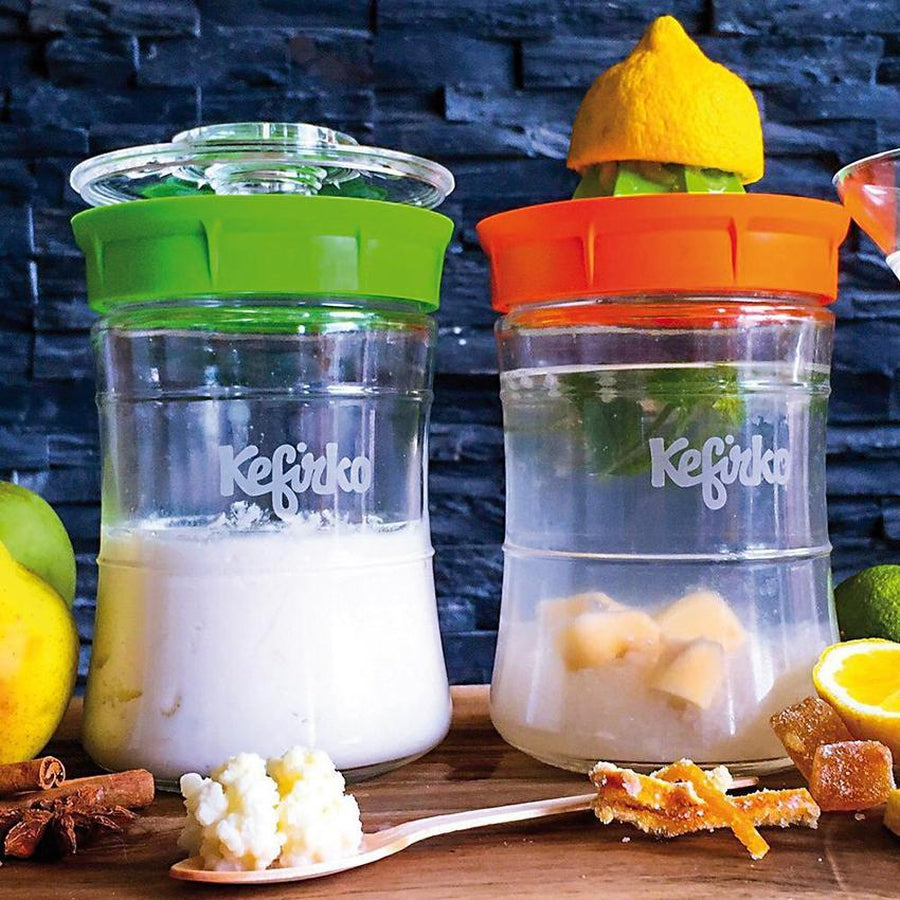 Kefirko Kefir Making Kit | Revolution Fermentation Canada