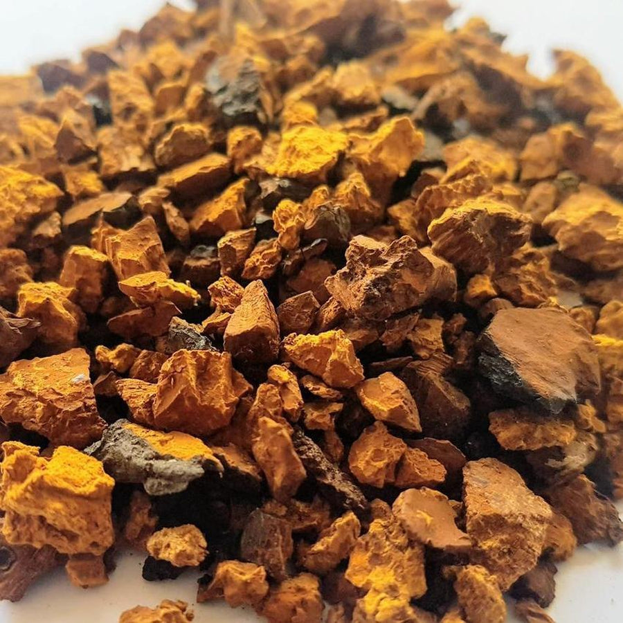 Wild Chaga Mushroom Chunks | Revolution Fermentation Canada