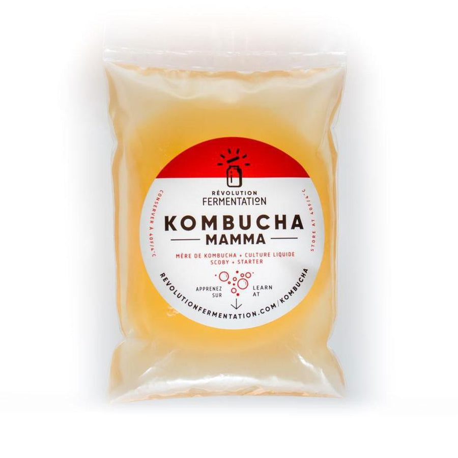 Kombucha SCOBY (Made in Canada) | Revolution Fermentation Canada